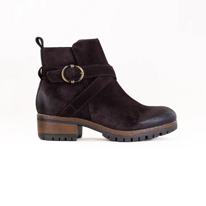 Salvia Clara Cafe Suede – Footprints Ann Arbor
